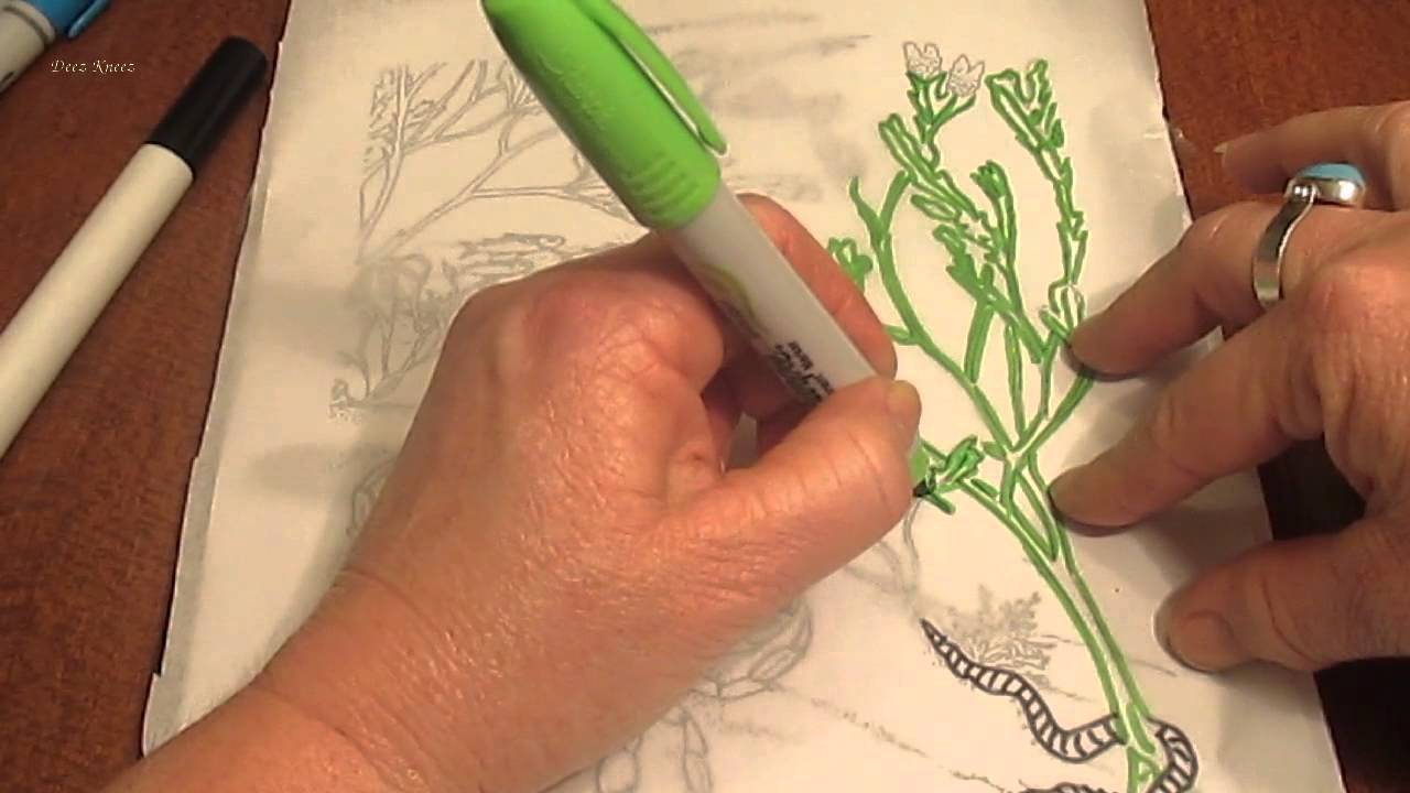 ASMR TRACING ON PAPER WITH MARKERS YouTube asmr-tracing-on-paper-with-markers-youtube