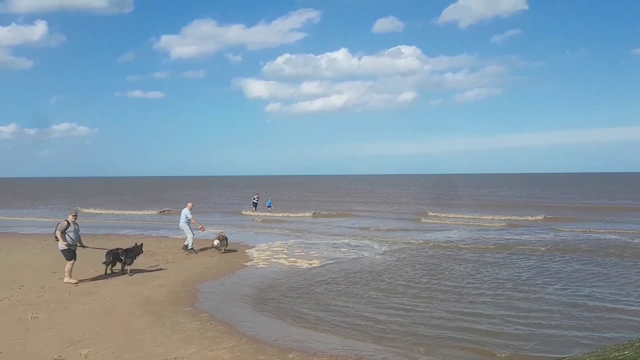 Beach - YouTube