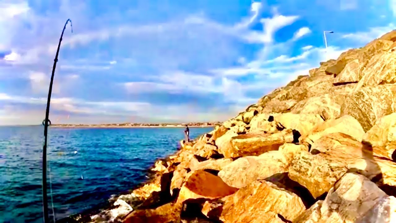 North Mole Fremantle Fishing is Full of Surprises - YouTube