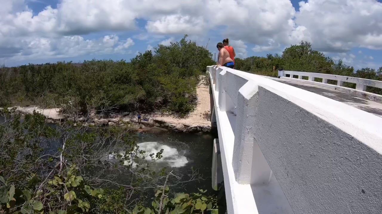 Keys trip 2019 bridge jumping - YouTube