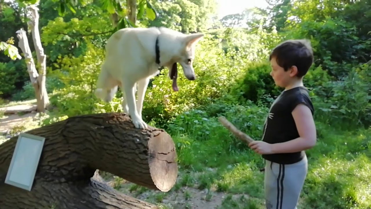 My dog Keke - YouTube