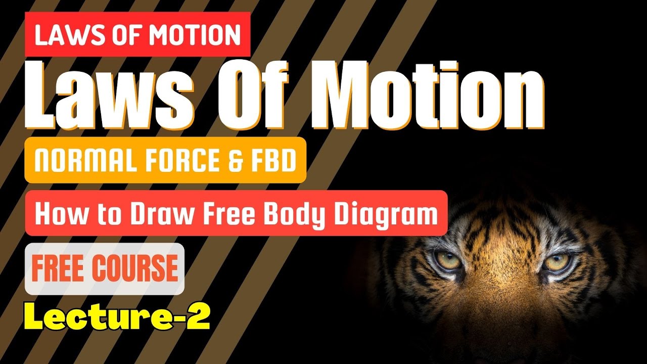 Mastering Normal Contact Force and FBD: In-Depth Explanation | JEE and ...