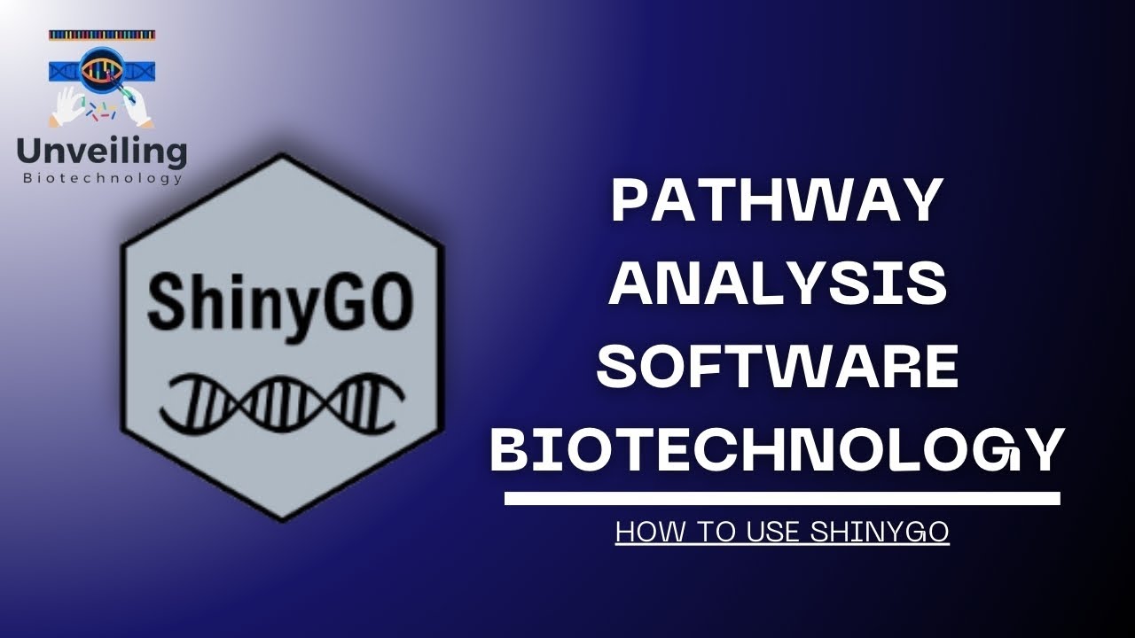 How to use Shiny Go | Pathway Enrichment analysis software ...