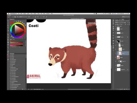Animal Alphabets - WEEK 3 - C is for Coati