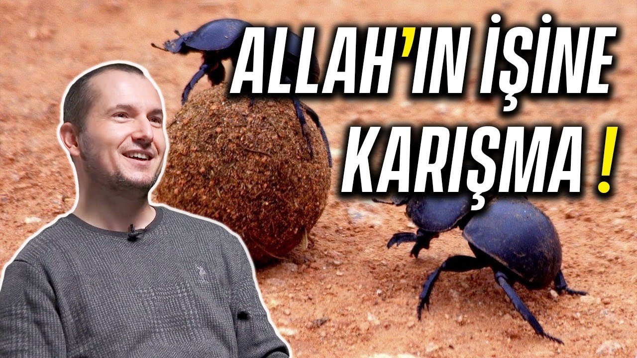 Allah'ın işine karışma! Bok böceği hikayesi? / Kerem Önder - YouTube