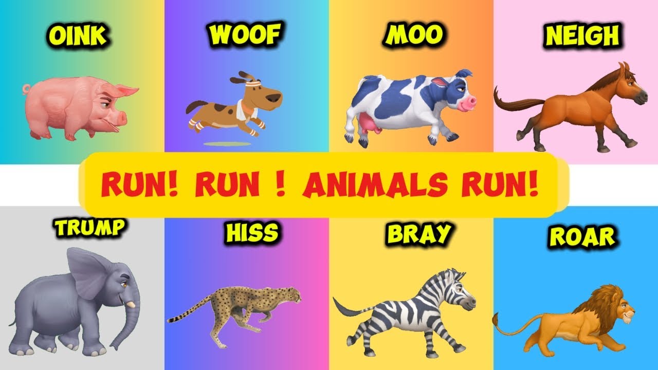 Run Run Animals Run and Sing Their Sounds | Fun Animal Sounds Song ...