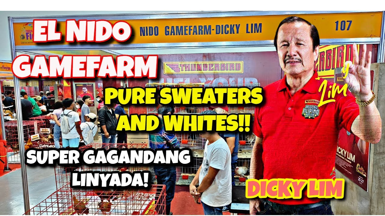 FIESTAG 2023 DICKY LIM | EL NIDO GAME FARM | BREEDER ADVENTURES TV ...