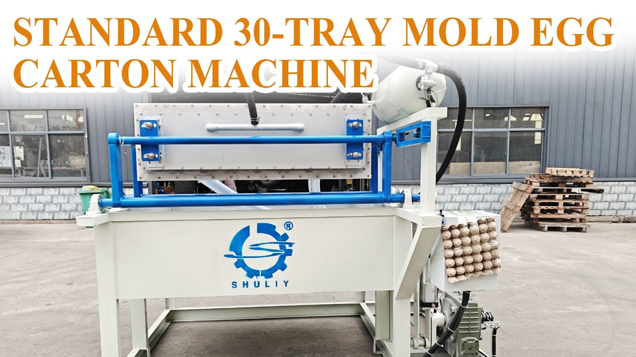 Standard 30 Tray Mold Egg Carton Machine - Efficient and High-Quality ...