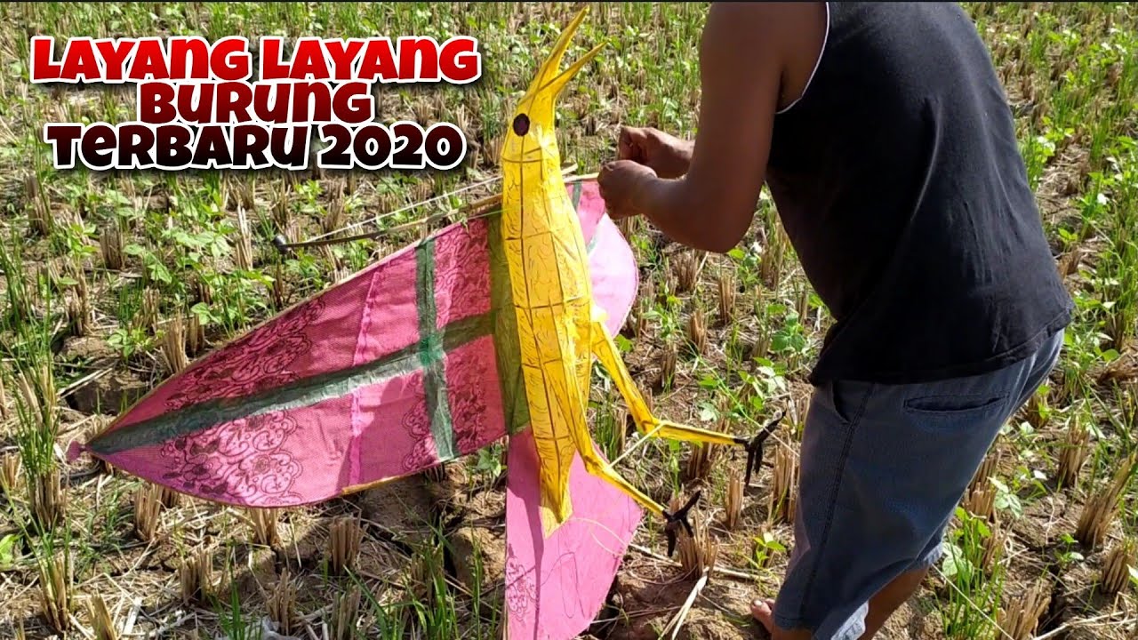Layang Layang Burung Terbaru | bird kite Indonesian - YouTube