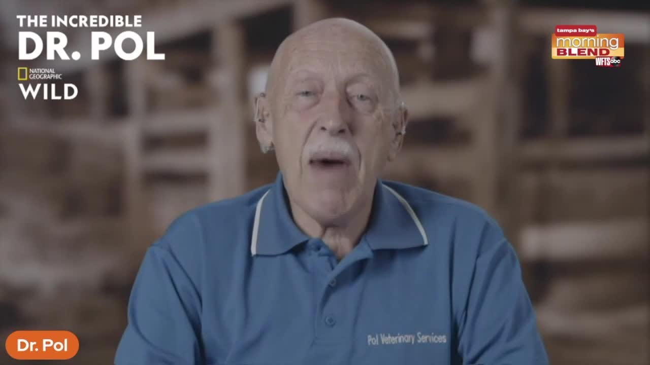 The Incredible Dr. Pol | Morning Blend - YouTube