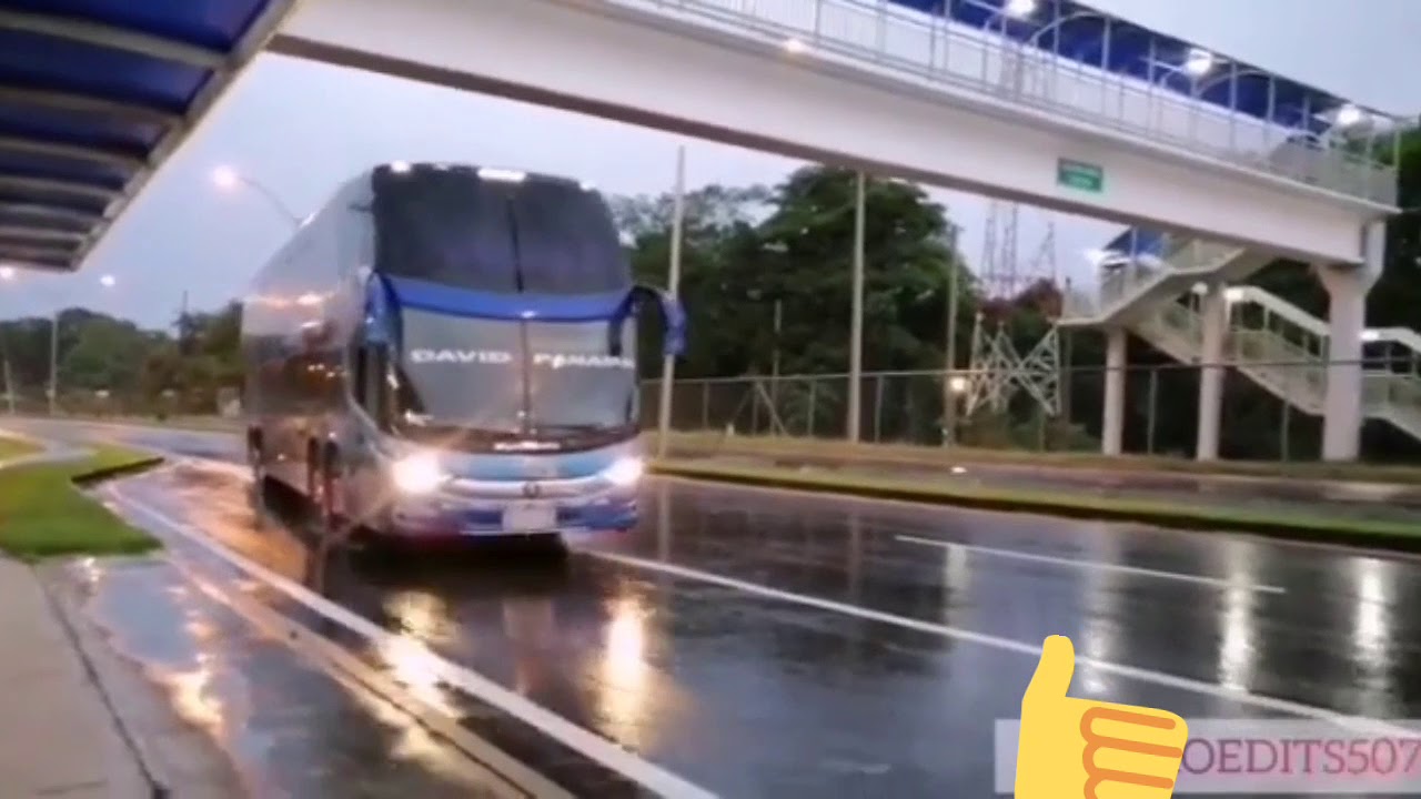 Buses David Panamá TDP 🇵🇦 2020 😍😍 - YouTube