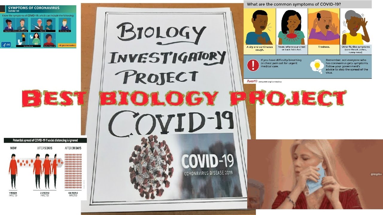 biology investigatory project COVID-19 #biologyclass12 #biologyproject ...