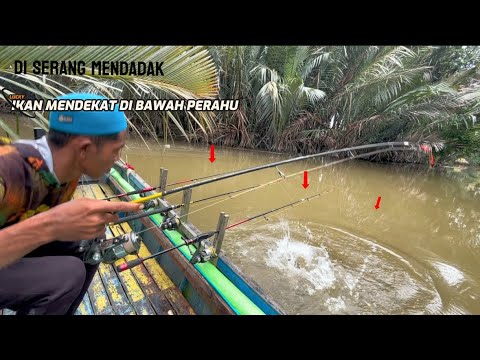Masha Allah. Old Spot for Fish Gathering Under the Boat.