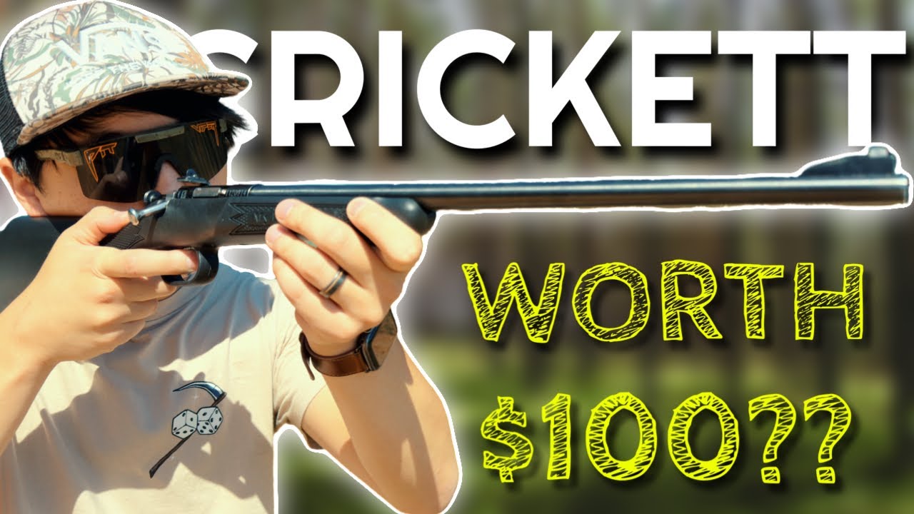 Keystone Crickett Rifle 22LR Review: Best Gift Of 2024? - YouTube
