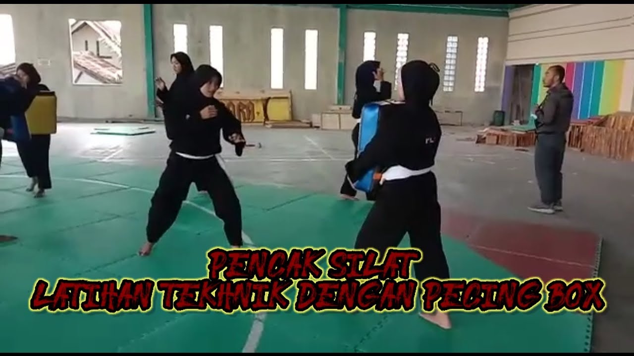 Latihan Menggunakan Pecing Box Pencak silat - YouTube