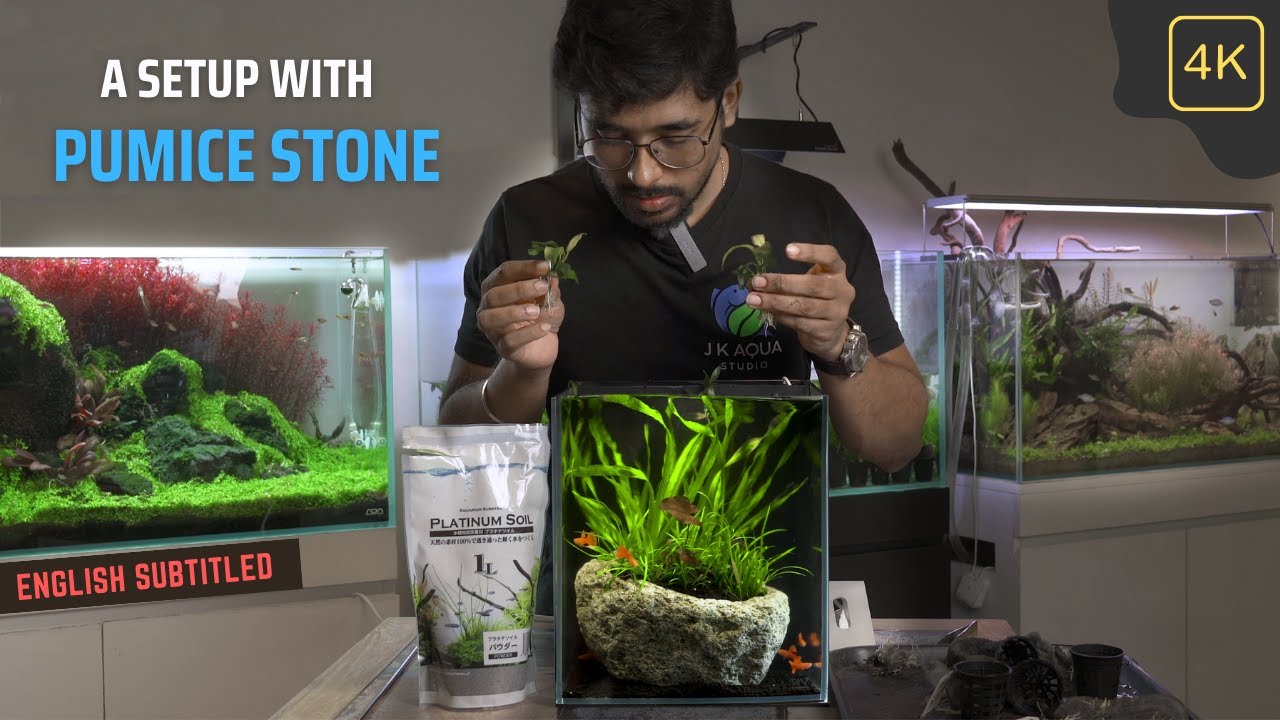 EASY PUMICE STONE FISH TANK SETUP| TAMIL | EP 224 - YouTube