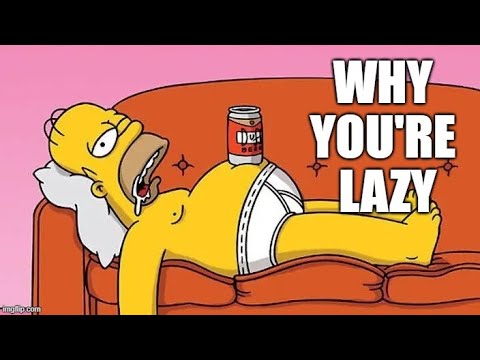 Three reasons why you're lazy - YouTube