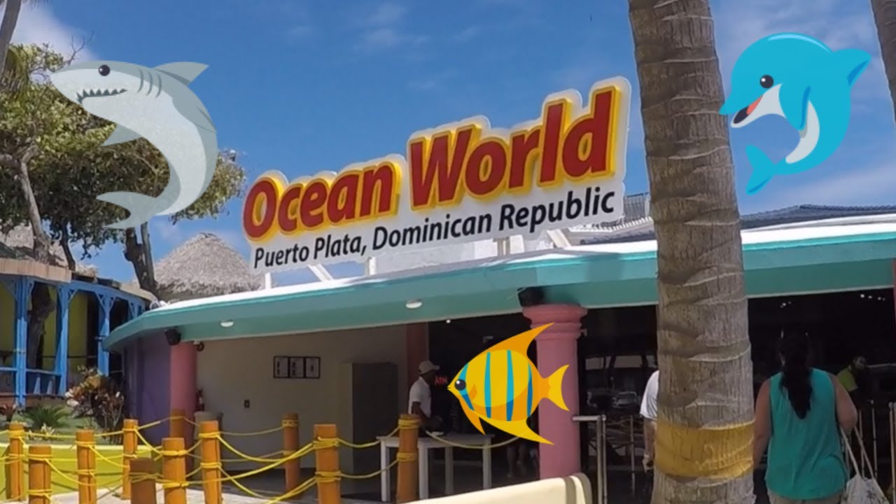 Our Visit at Ocean World - Puerto Plata, Dominican Republic - YouTube