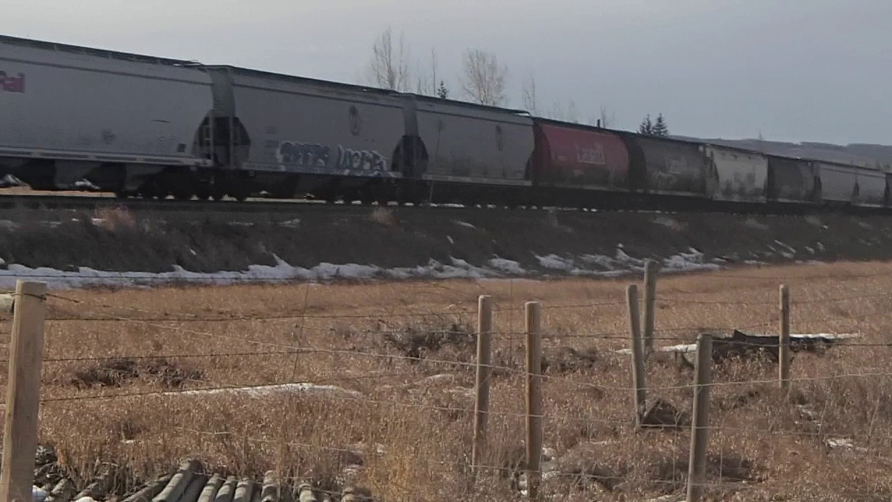 CP grain train with UP DPU unit - YouTube