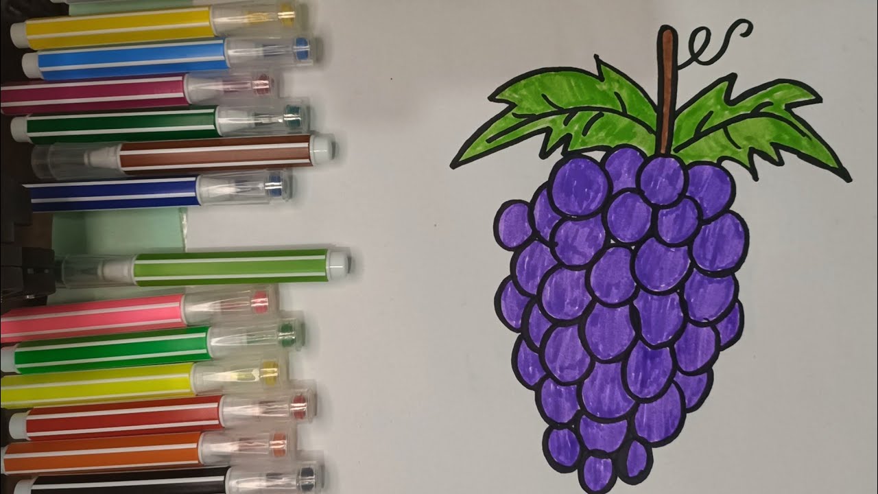 How to draw and colour Grapes Step by step| Easy Grapes Drawing - YouTube