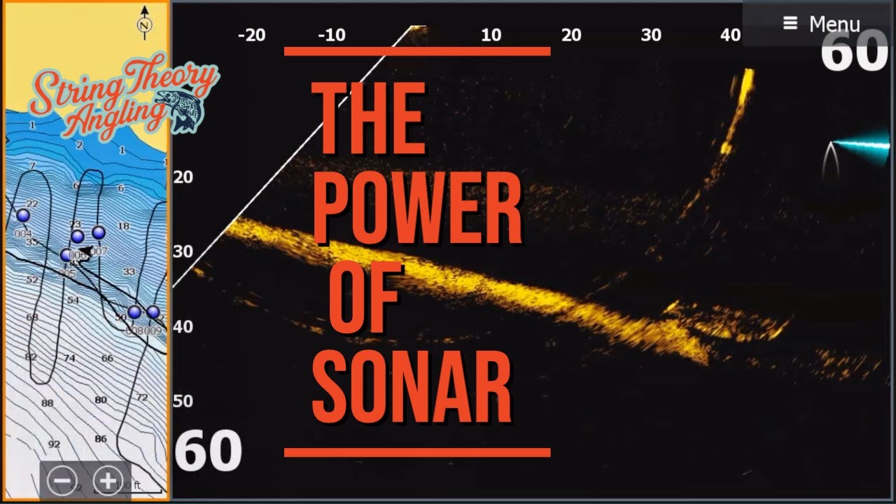 The Power of Sonar - YouTube