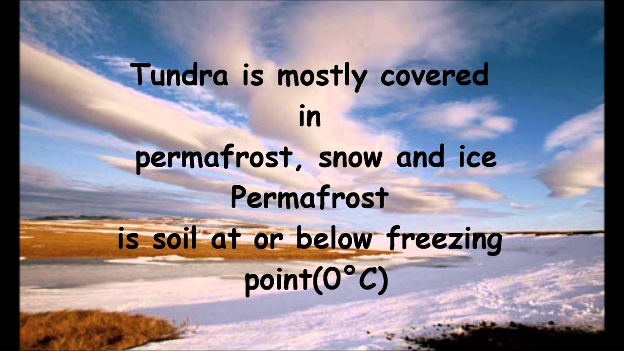 Tundra song - YouTube