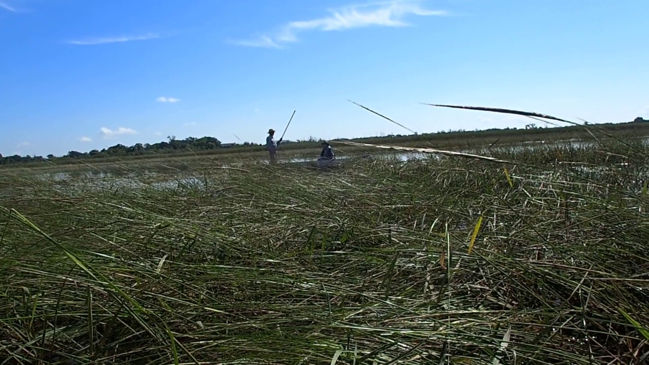 Wild Ricing in Minnesota - YouTube