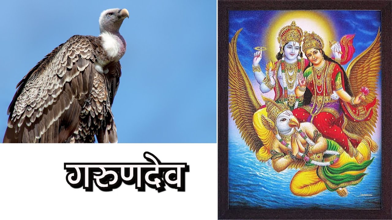 Garud dev ki kahani | Story of Garud dev | गरुड़देव अमृत ले उड़े ...