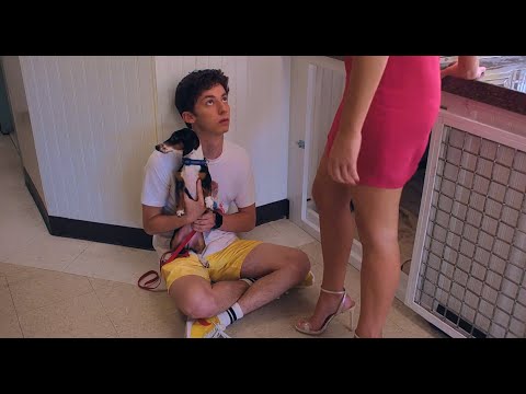 Jennifer Lawrence in No Hard Feelings 2023- movie scene part1