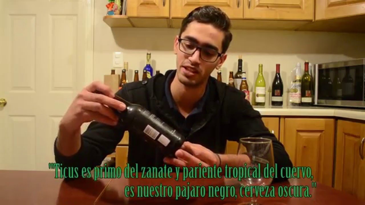 Review #3 | Cerveza Ticus | Porter | Legion of Beers - YouTube