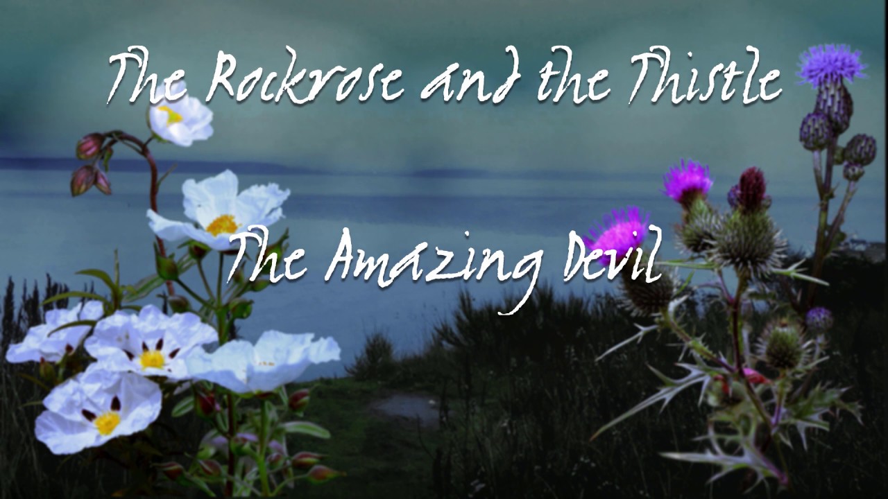 The Rockrose and the Thistle - The Amazing Devil - Lyrics - YouTube