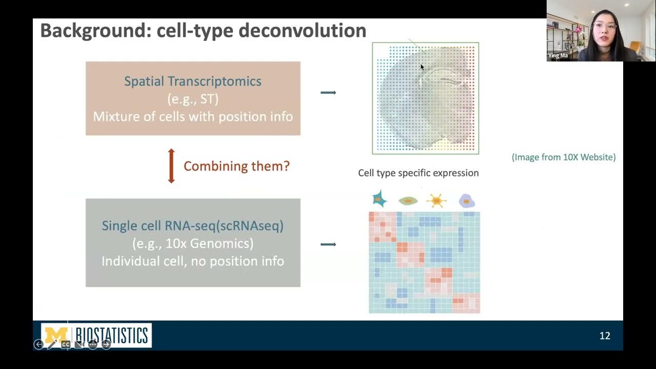 Spatially informed cell-type deconvolution for spatial transcriptomics - YouTube