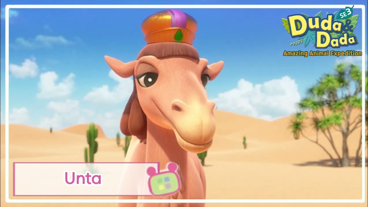 Unta | Duda Dada | Season 3 | Animasi | Hewan - YouTube