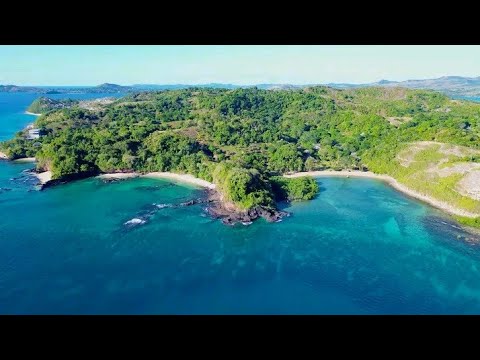 Lemurs from Madagascar