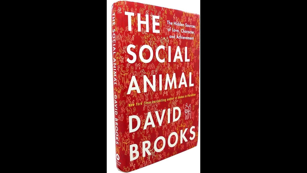 Summary, “The Social Animal: The Hidden Sources Of Love, Character, And ...