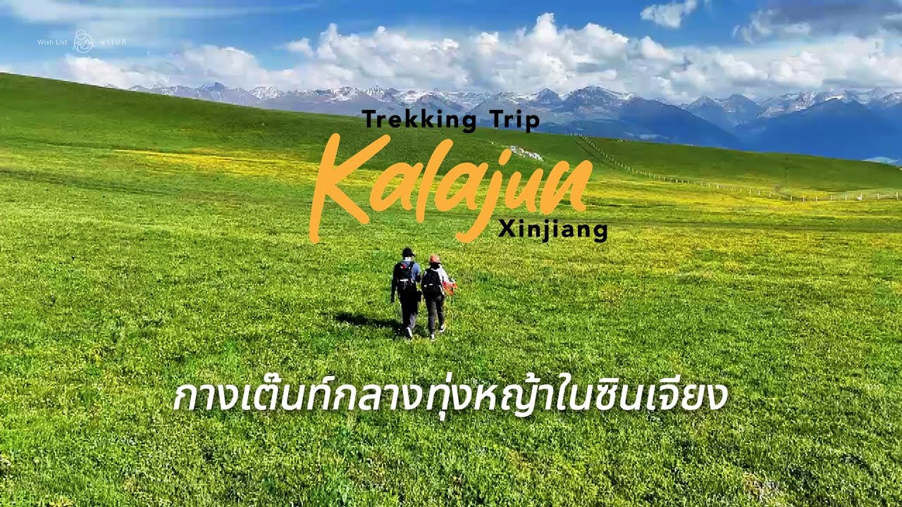 🏕️ นอนเต๊นท์กลางทุ่งหญ้า Kalajun ในซินเจียง - Day 1 🇨🇳 - YouTube