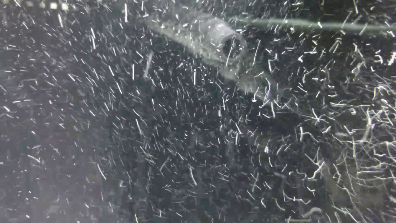 Microbubbles - YouTube
