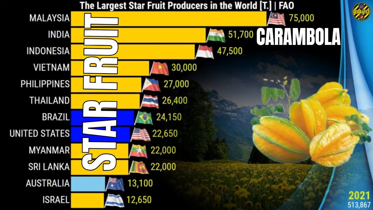 THE LARGEST STAR FRUIT PRODUCERS IN THE WORLD, ASIA, AMERICA'S AND ...