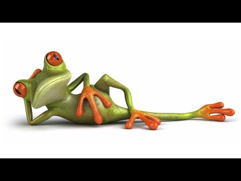 Flurya Mekanı - Kurbağa 011 (Frog) Dere Kurbağa