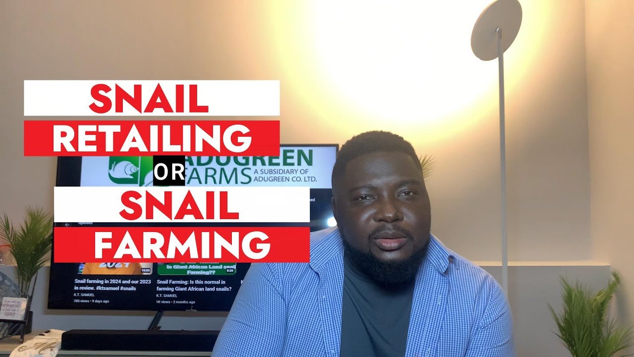 THE SNAIL FARMING BUSINESS - SNAIL RETAILING OR SNAIL FARMING. # ...