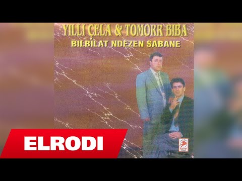 Ylli Cela & Tomorr  Biba - Moj e vogela ne leme (Official Audio HD)