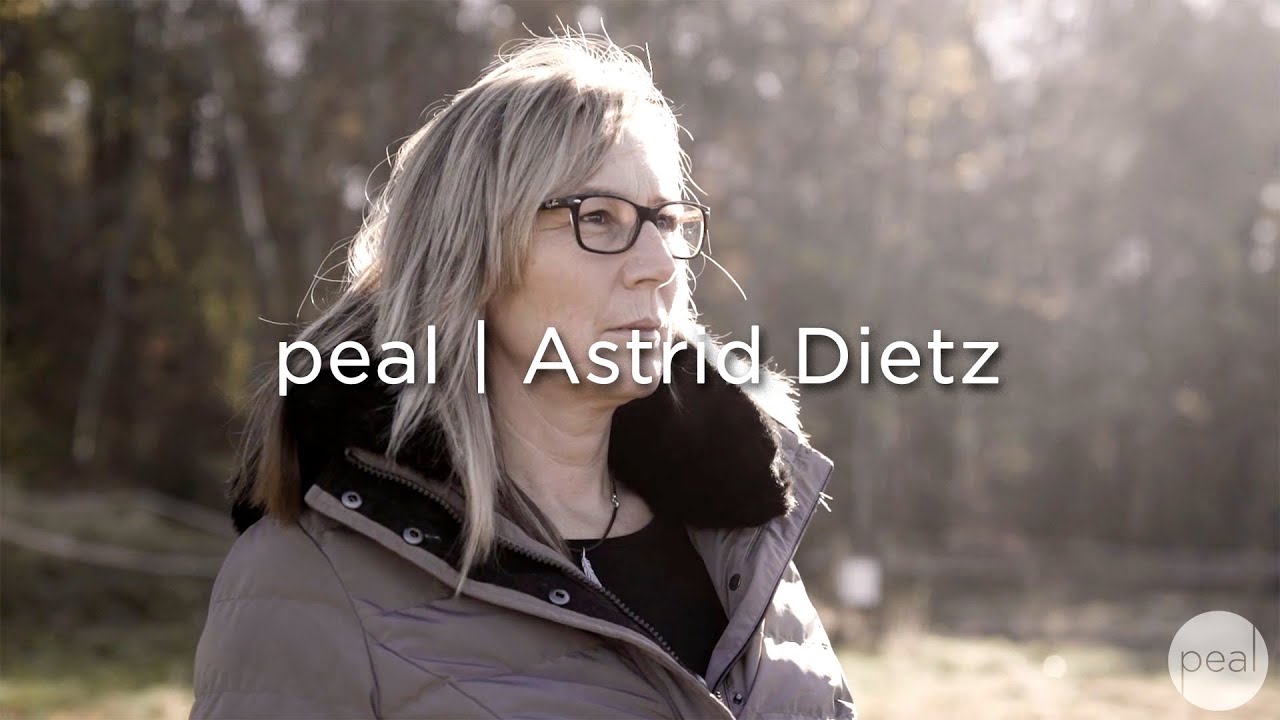Fahrschule - Astrid Dietz - YouTube