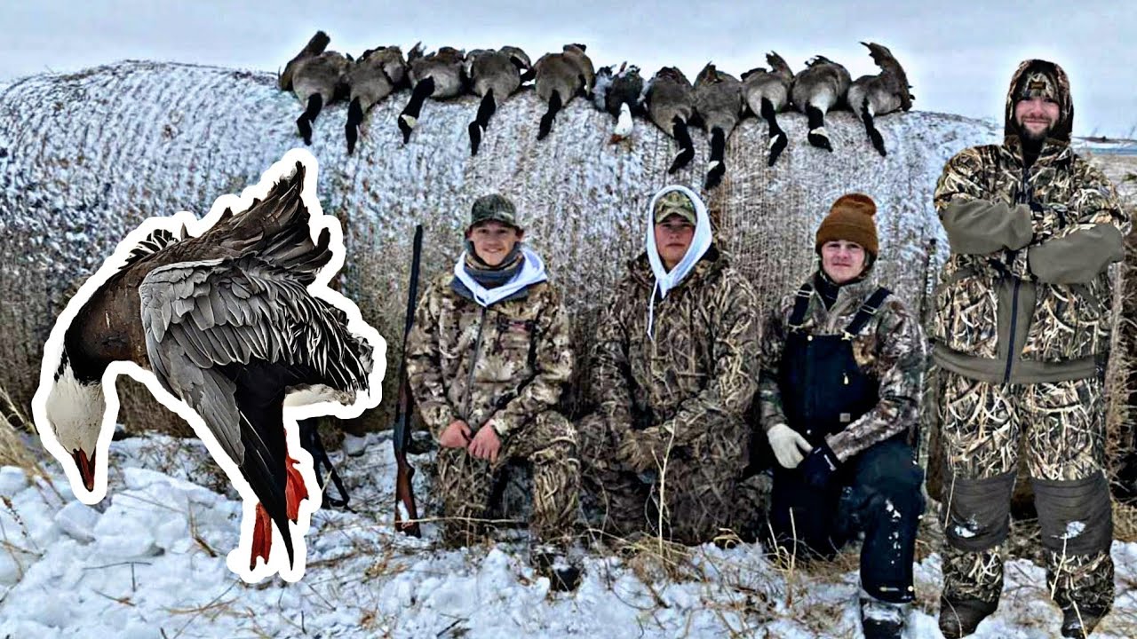 Late December GOOSE Hunting! (Bonus BLUE GOOSE shot!) - YouTube