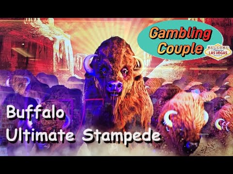 Nice Win am Buffalo Ultimate Stampede, Durango Las Vegas - YouTube