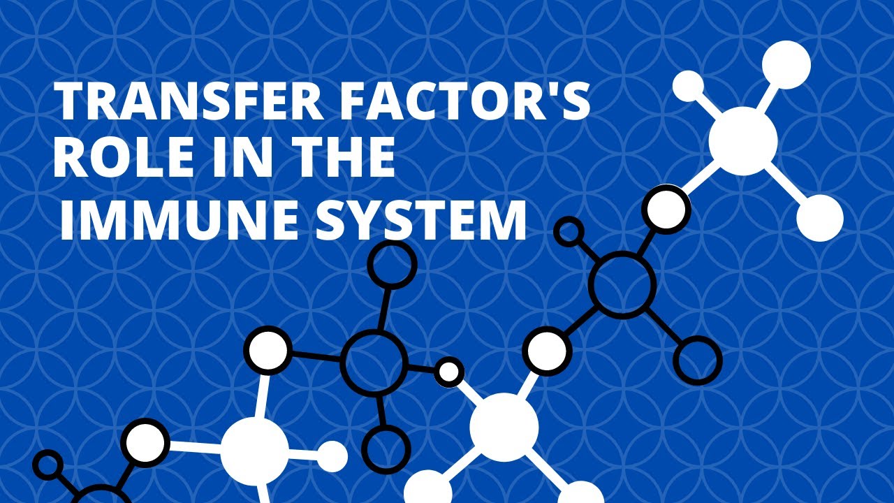 How the Immune System Works and Transfer Factors Role - YouTube