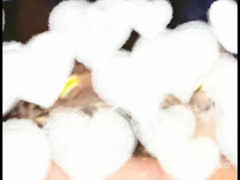 PCMC SMART KIDS SPINE ROAD CHIKHALI Pune Maharashtra - YouTube