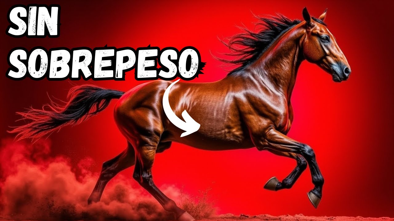 📢 Cómo Evitar el Sobrepeso en Caballos: Alimentación y Ejercicio Claves ...