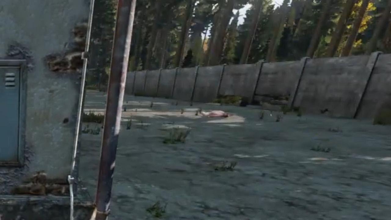 Zombies make the best alarm system in Dayz - YouTube