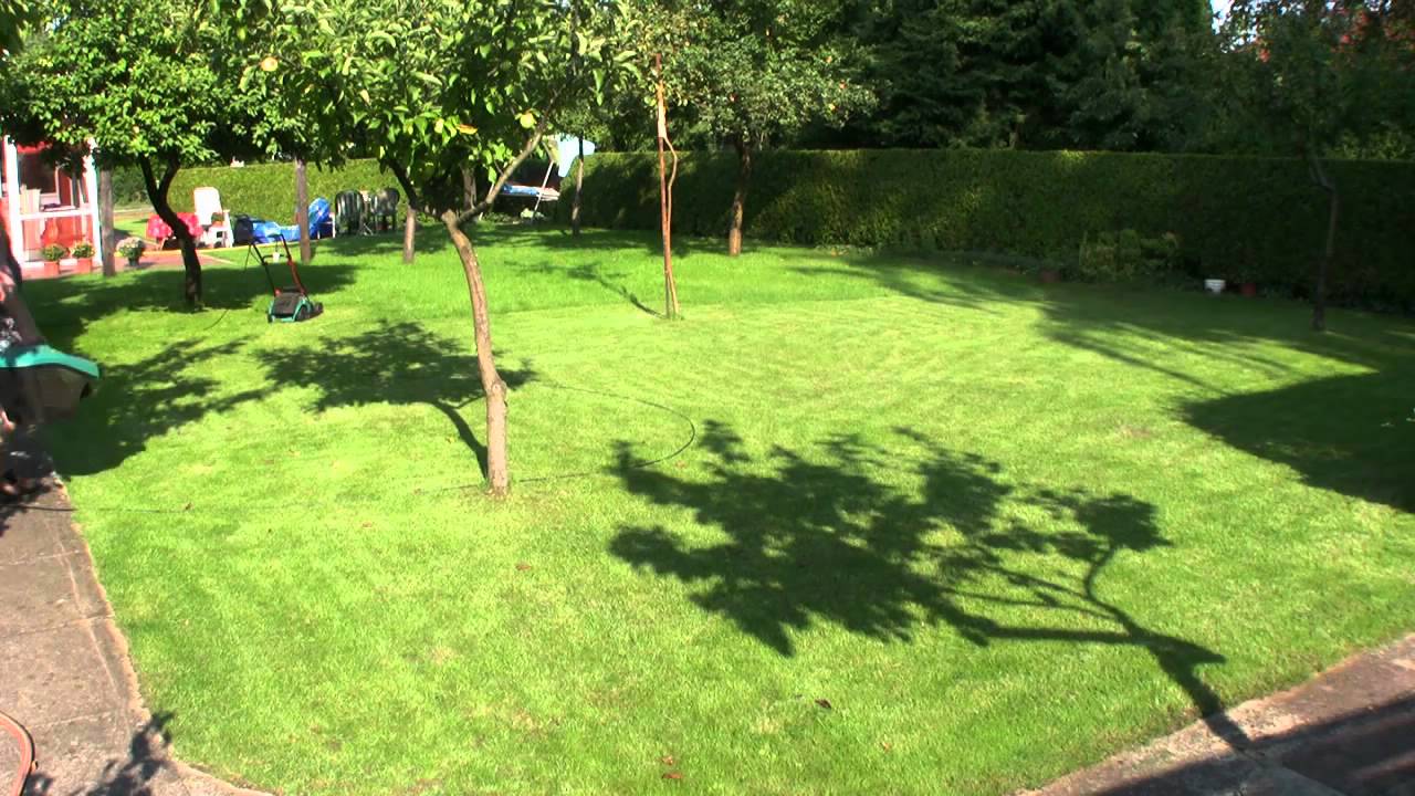 Very bad lawn mowing (crazy) - YouTube