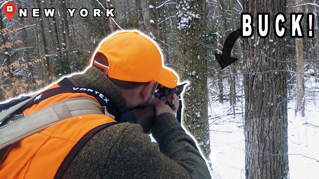 TRACKING DEER IN NEW YORK! | Public Land - YouTube